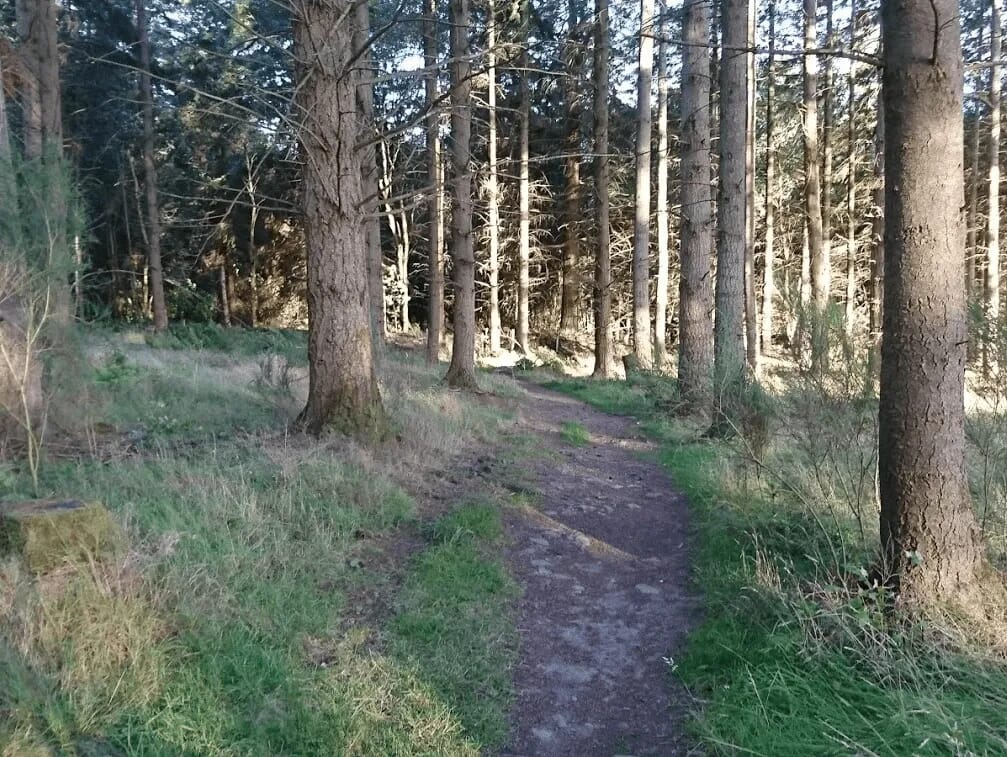 Land Purchase Agreement! » Deeside Bike Collective